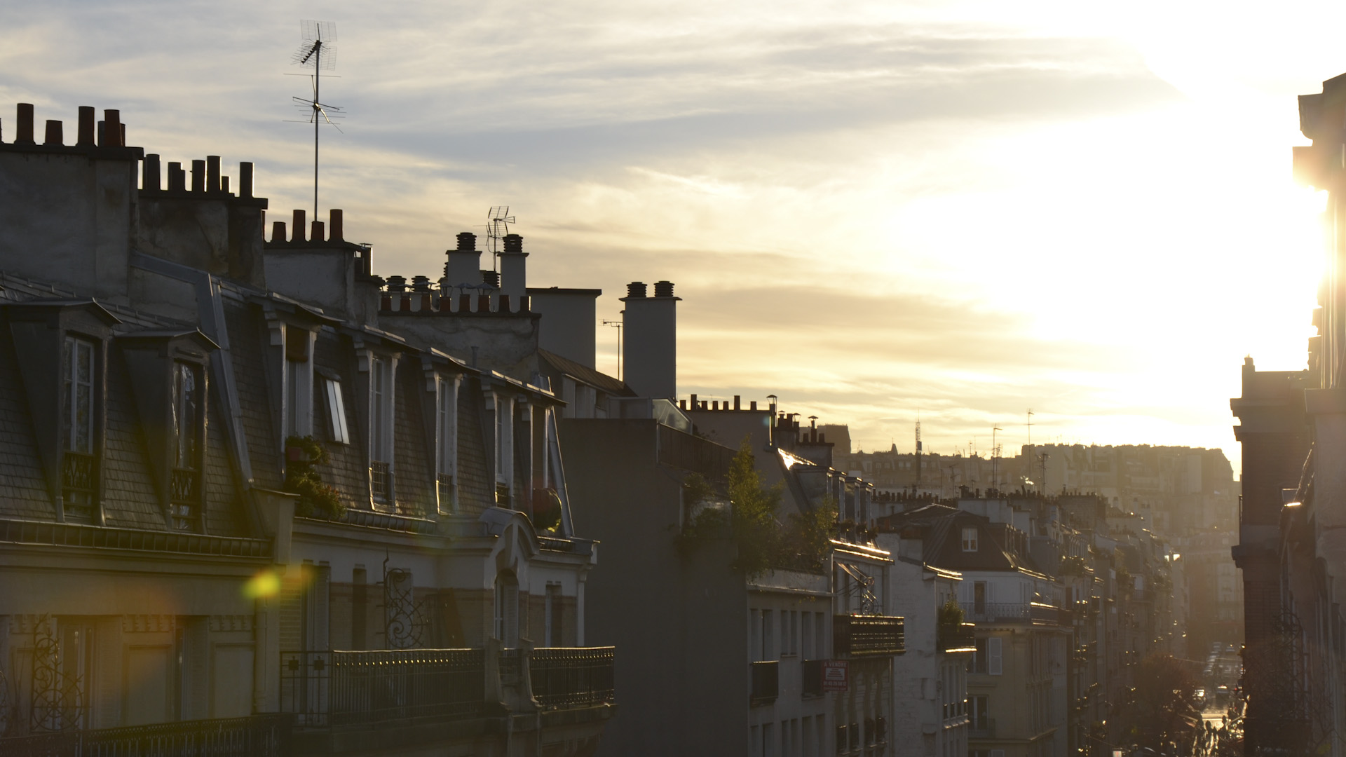 CUPA Immersion — CUPA